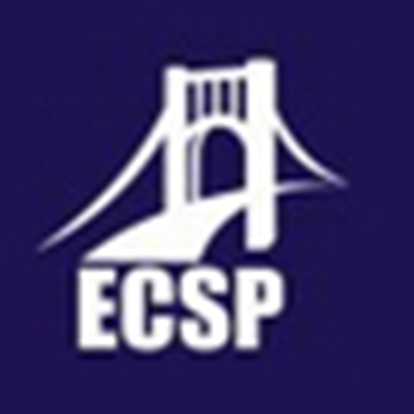 ECSP Jobs 2022 Apply Online @Paper PK – New Latest Free Job Alert